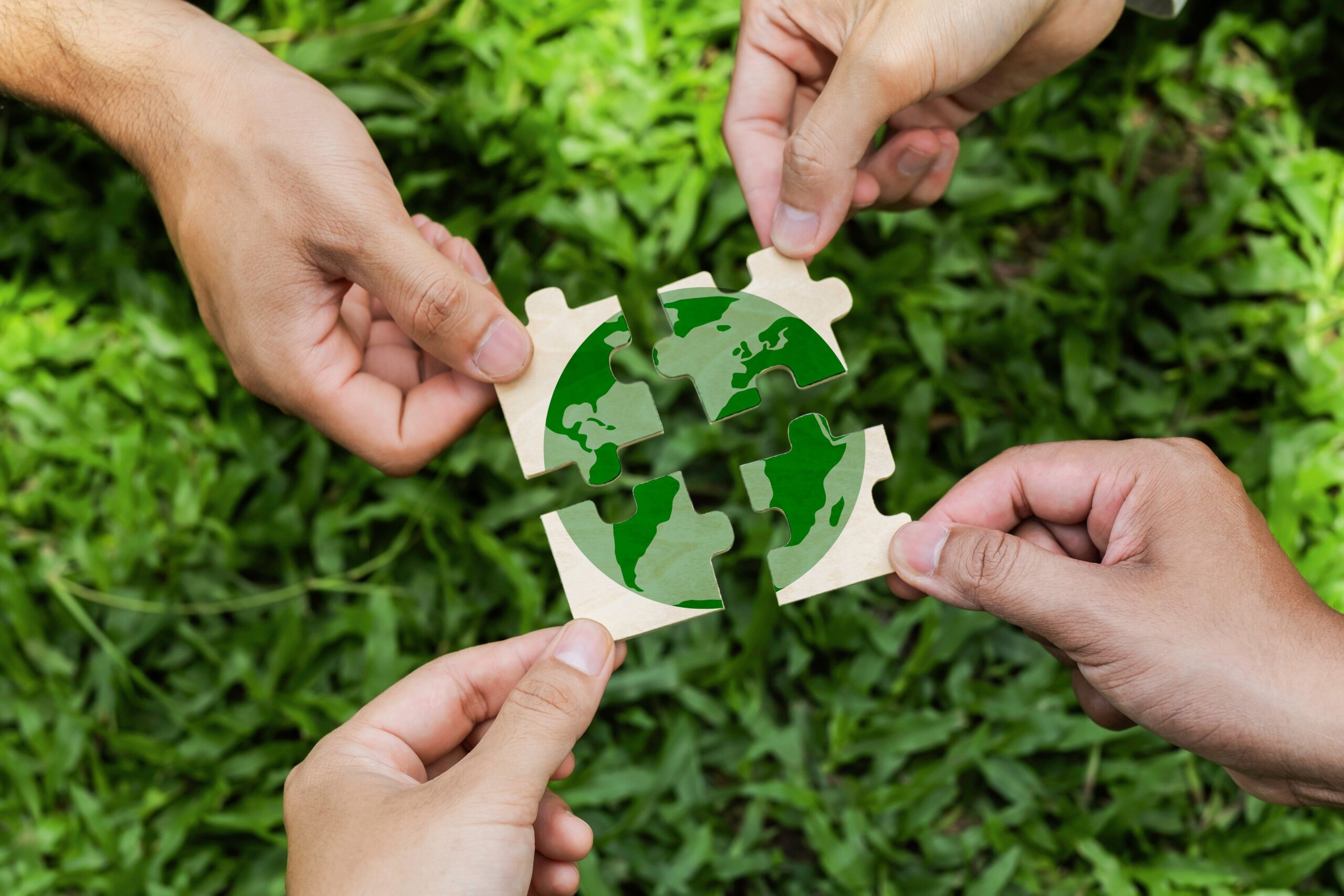 Where and Why NGOs Are Expanding Across Africa: Country-Level Insights ...